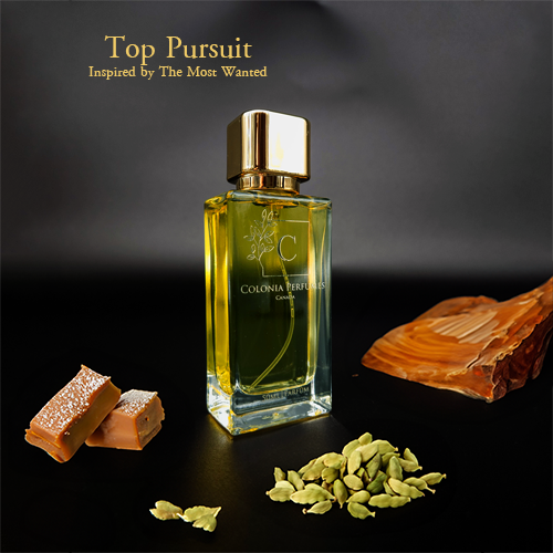 Scent Inspired by The Most Wanted | Colonia Perfumes Canada